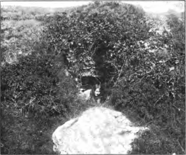 1964: Cumberland Spaceman / Solway Firth Photograph